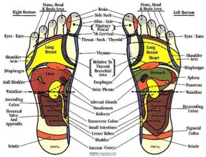 Understanding foot reflex zones – Pedikur
